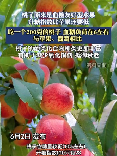 桃子含糖量高吗_糖尿病人能吃桃子吗-第3张图片-山城妙识 桃子含糖量高吗_糖尿病人能吃桃子吗-第3张图片-山城妙识