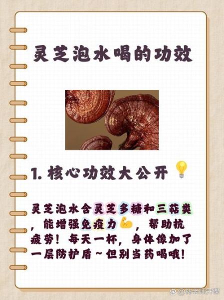 灵芝泡水可以天天喝吗_长期饮用注意事项-第2张图片-山城妙识