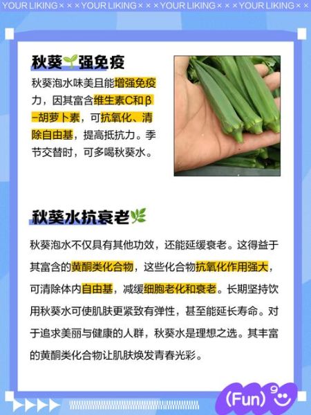 秋葵泡酒的功效与作用_秋葵泡酒怎么泡才有效-第3张图片-山城妙识