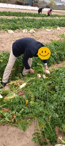 萝卜坑是什么意思_萝卜坑岗位怎么识别-第2张图片-山城妙识 萝卜坑是什么意思_萝卜坑岗位怎么识别-第2张图片-山城妙识