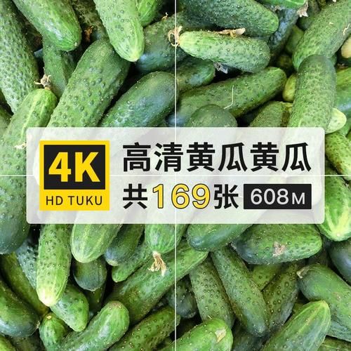 胡瓜图片大全_胡瓜和黄瓜的区别-第3张图片-山城妙识 胡瓜图片大全_胡瓜和黄瓜的区别-第3张图片-山城妙识