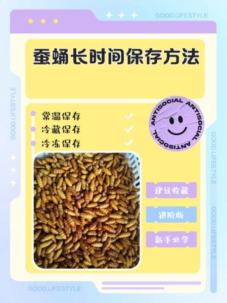 蚕蛹煮多久能熟_蚕蛹煮多长时间才安全-第1张图片-山城妙识 蚕蛹煮多久能熟_蚕蛹煮多长时间才安全-第1张图片-山城妙识