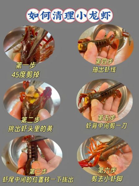 小龙虾怎么清洗_小龙虾清洗步骤图解-第1张图片-山城妙识 小龙虾怎么清洗_小龙虾清洗步骤图解-第1张图片-山城妙识