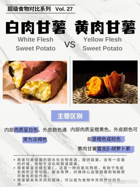 白红薯和红红薯的区别_哪个更甜-第1张图片-山城妙识 白红薯和红红薯的区别_哪个更甜-第1张图片-山城妙识