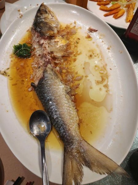 野生鲥鱼图片_如何辨别真假野生鲥鱼-第3张图片-山城妙识 野生鲥鱼图片_如何辨别真假野生鲥鱼-第3张图片-山城妙识