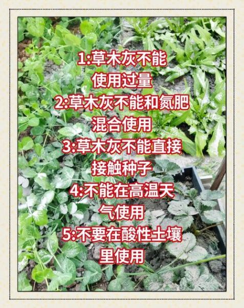 草木灰是酸性还是碱性_草木灰改良土壤怎么用-第1张图片-山城妙识