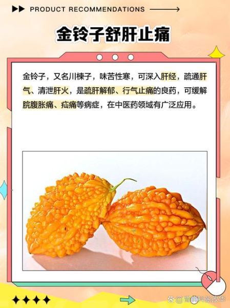 金铃子功效与作用_金铃子怎么吃效果最好-第2张图片-山城妙识 金铃子功效与作用_金铃子怎么吃效果最好-第2张图片-山城妙识
