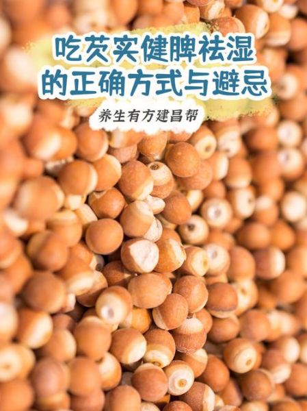 芡实怎么吃祛湿_芡实祛湿的正确吃法-第1张图片-山城妙识 芡实怎么吃祛湿_芡实祛湿的正确吃法-第1张图片-山城妙识