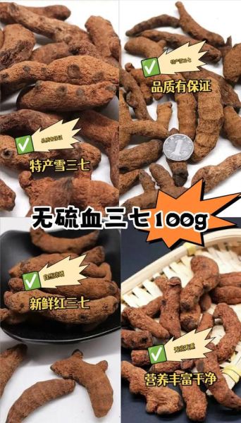 血三七植物图片长什么样_血三七和三七区别在哪-第3张图片-山城妙识 血三七植物图片长什么样_血三七和三七区别在哪-第3张图片-山城妙识