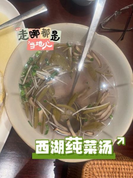 太湖莼菜汤的做法_莼菜汤有什么功效-第1张图片-山城妙识 太湖莼菜汤的做法_莼菜汤有什么功效-第1张图片-山城妙识