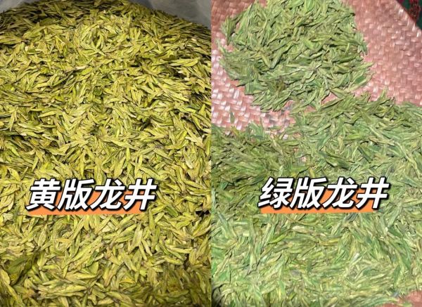 龙井茶是绿茶吗_龙井茶属于什么茶类-第3张图片-山城妙识