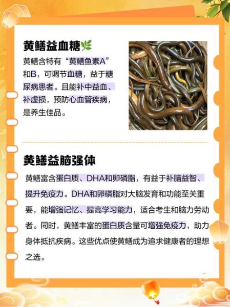 黄鳝鱼的营养价值_黄鳝鱼的功效与作用-第3张图片-山城妙识