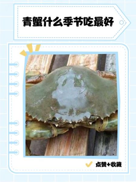 青蟹和大闸蟹哪个好吃_青蟹和大闸蟹区别-第3张图片-山城妙识