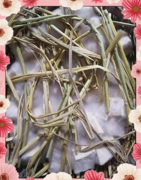 腐乳的制作方法_腐乳怎么做才好吃-第3张图片-山城妙识