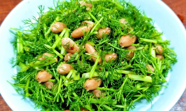 茴香菜长什么样_茴香菜怎么吃-第3张图片-山城妙识 茴香菜长什么样_茴香菜怎么吃-第3张图片-山城妙识