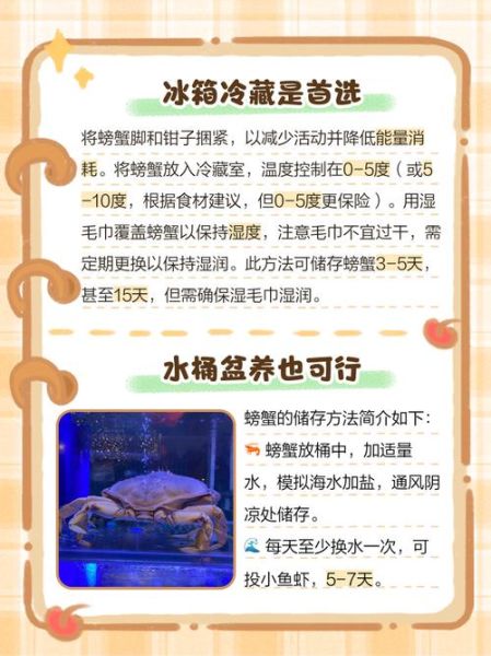 螃蟹怎么保存不会死_螃蟹怎么养活得久-第1张图片-山城妙识 螃蟹怎么保存不会死_螃蟹怎么养活得久-第1张图片-山城妙识