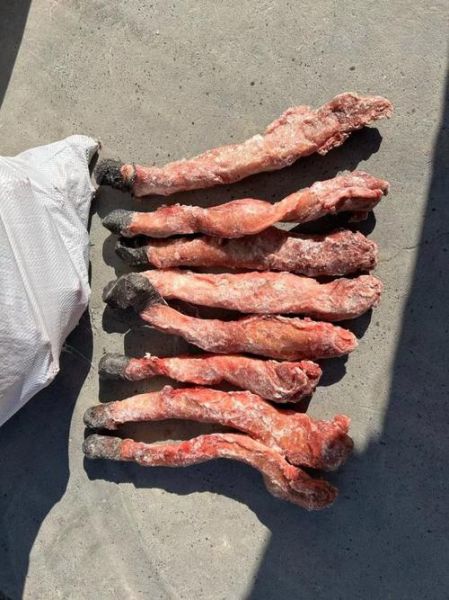 驴鞭多少钱一根_驴鞭图片怎么看真假-第1张图片-山城妙识 驴鞭多少钱一根_驴鞭图片怎么看真假-第1张图片-山城妙识