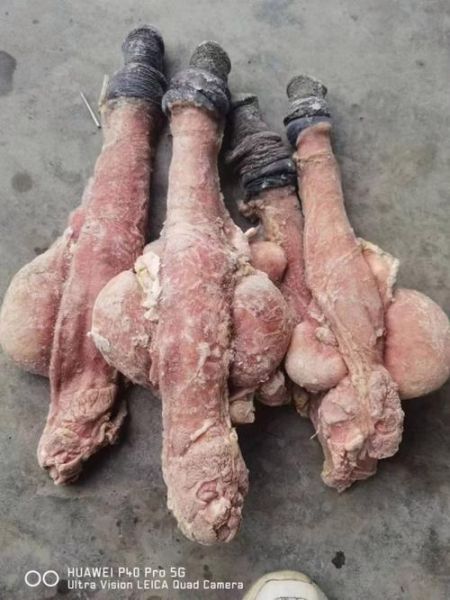 驴鞭多少钱一根_驴鞭图片怎么看真假-第3张图片-山城妙识 驴鞭多少钱一根_驴鞭图片怎么看真假-第3张图片-山城妙识