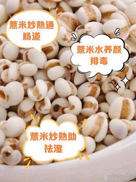 薏米怎么吃除湿效果最佳_薏米除湿的正确吃法-第3张图片-山城妙识