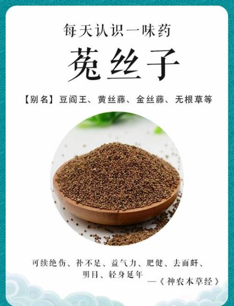 菟丝子怎么吃_菟丝子功效与作用禁忌-第1张图片-山城妙识