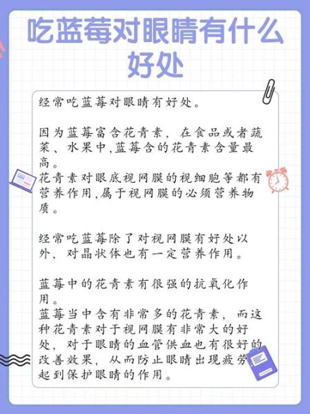 蓝莓的功效与作用_蓝莓怎么吃最护眼-第3张图片-山城妙识