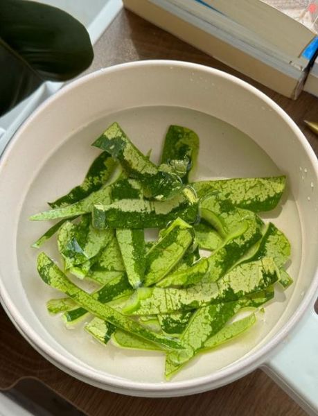 西瓜皮可以敷脸上吗_西瓜皮敷脸的正确方法-第2张图片-山城妙识