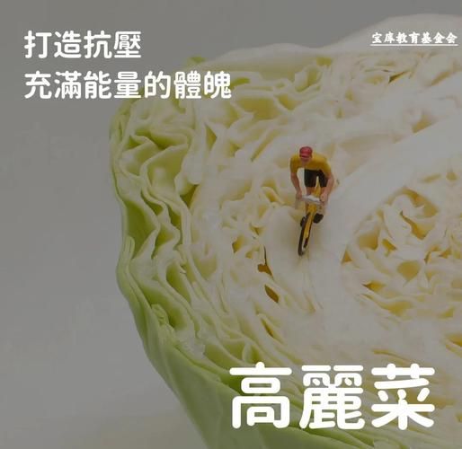 高丽菜是什么菜_高丽菜和包菜的区别-第1张图片-山城妙识