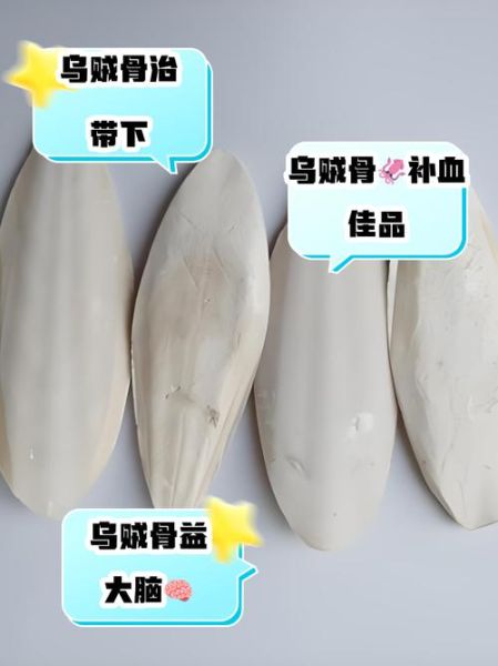 乌贼骨粉的功效与禁忌_乌贼骨粉怎么吃才安全-第3张图片-山城妙识 乌贼骨粉的功效与禁忌_乌贼骨粉怎么吃才安全-第3张图片-山城妙识