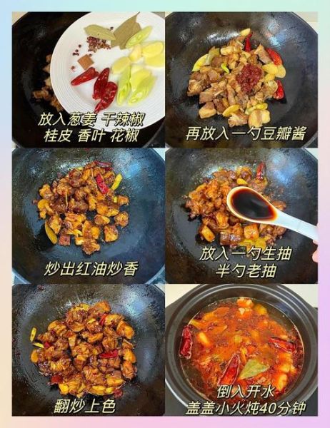 红焖羊肉调料哪个牌子好_红焖羊肉调料怎么用-第2张图片-山城妙识