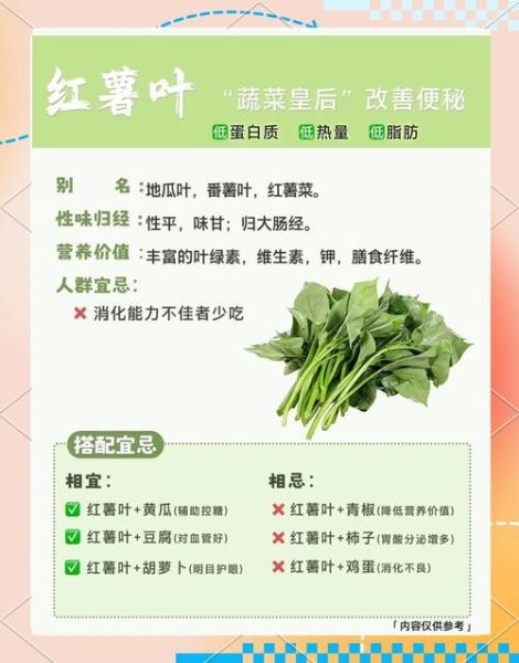 番薯叶的功效与作用_番薯叶的禁忌人群-第1张图片-山城妙识 番薯叶的功效与作用_番薯叶的禁忌人群-第1张图片-山城妙识