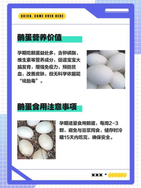 孕妇吃鹅蛋去黄疸吗_孕期鹅蛋怎么吃才科学-第2张图片-山城妙识 孕妇吃鹅蛋去黄疸吗_孕期鹅蛋怎么吃才科学-第2张图片-山城妙识