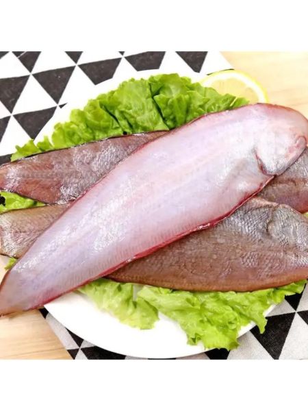 龙利鱼是世界上最脏的鱼_真的吗-第2张图片-山城妙识