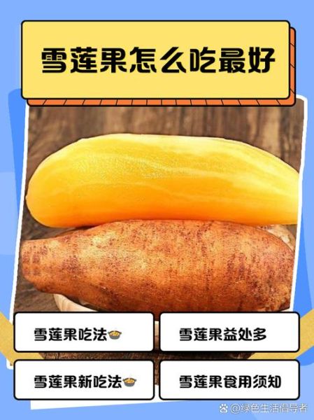 雪莲果怎么吃_雪莲果的正确吃法-第3张图片-山城妙识 雪莲果怎么吃_雪莲果的正确吃法-第3张图片-山城妙识