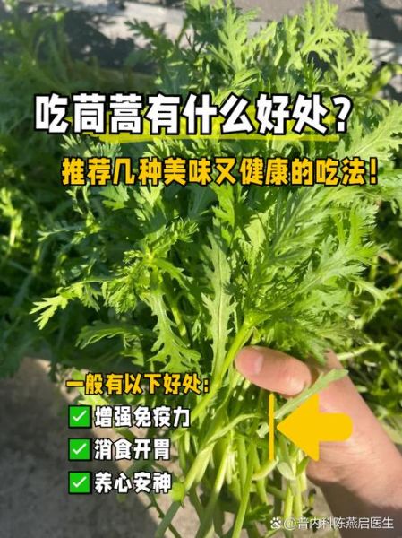 茼蒿菜有什么功效_茼蒿菜怎么吃最营养-第2张图片-山城妙识 茼蒿菜有什么功效_茼蒿菜怎么吃最营养-第2张图片-山城妙识