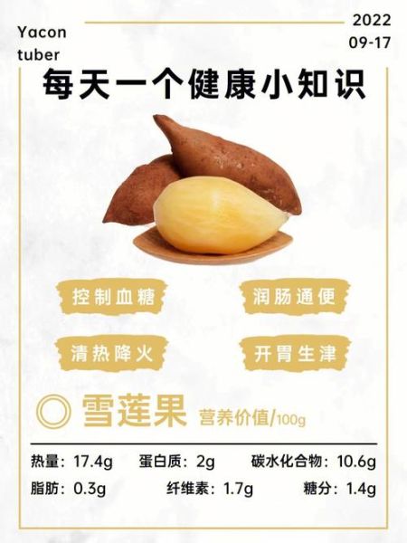 雪莲果怎么吃_雪莲果的正确吃法-第1张图片-山城妙识 雪莲果怎么吃_雪莲果的正确吃法-第1张图片-山城妙识