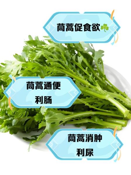 茼蒿菜有什么功效_茼蒿菜怎么吃最营养-第3张图片-山城妙识 茼蒿菜有什么功效_茼蒿菜怎么吃最营养-第3张图片-山城妙识