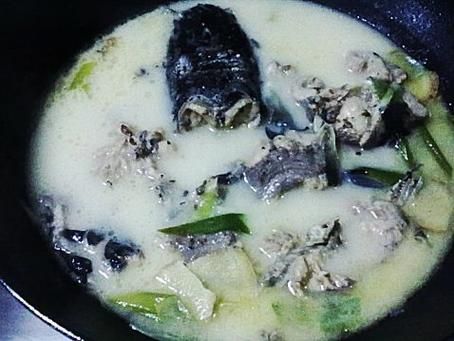 鲶鱼汤怎么做_鲶鱼汤去腥技巧-第3张图片-山城妙识 鲶鱼汤怎么做_鲶鱼汤去腥技巧-第3张图片-山城妙识