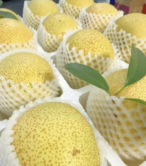 酥梨的功效与作用_酥梨怎么吃润肺止咳-第3张图片-山城妙识