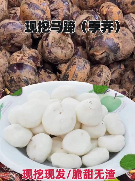 荸荠水果怎么挑选_荸荠水果的功效与作用-第1张图片-山城妙识