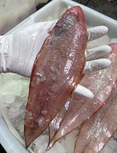 龙利鱼怎么做好吃_龙利鱼适合清蒸还是香煎-第1张图片-山城妙识 龙利鱼怎么做好吃_龙利鱼适合清蒸还是香煎-第1张图片-山城妙识