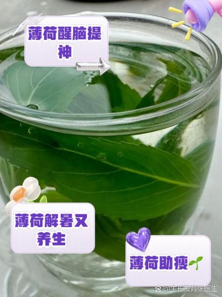薄荷叶泡水可以每天喝吗_薄荷叶泡水有什么功效-第1张图片-山城妙识 薄荷叶泡水可以每天喝吗_薄荷叶泡水有什么功效-第1张图片-山城妙识