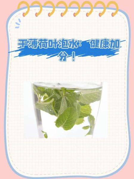 薄荷叶泡水可以每天喝吗_薄荷叶泡水有什么功效-第3张图片-山城妙识 薄荷叶泡水可以每天喝吗_薄荷叶泡水有什么功效-第3张图片-山城妙识