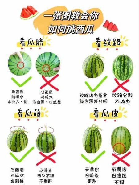 黄瓜和丝瓜哪个更营养_夏季瓜类蔬菜怎么挑-第1张图片-山城妙识