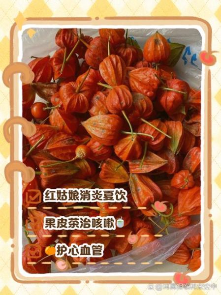 红姑娘水禁忌人群有哪些_孕妇能喝红姑娘水吗-第1张图片-山城妙识 红姑娘水禁忌人群有哪些_孕妇能喝红姑娘水吗-第1张图片-山城妙识