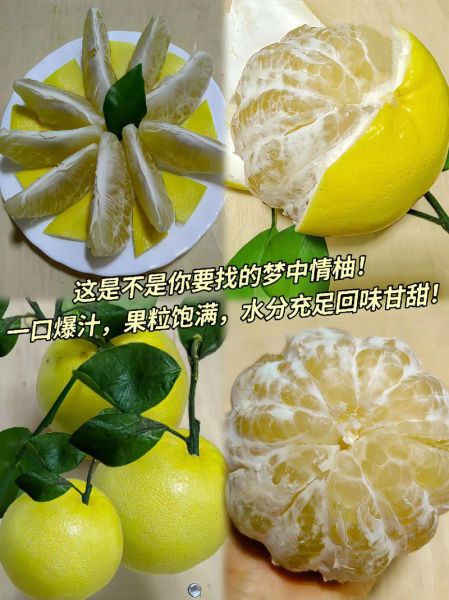 葡萄柚吃多了会怎样_一天吃多少合适-第3张图片-山城妙识 葡萄柚吃多了会怎样_一天吃多少合适-第3张图片-山城妙识