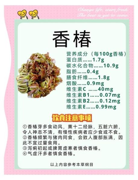 香椿芽的功效与作用_香椿芽怎么吃最营养-第1张图片-山城妙识