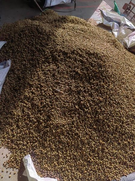 覆盆子多少钱一斤_覆盆子价格走势-第1张图片-山城妙识 覆盆子多少钱一斤_覆盆子价格走势-第1张图片-山城妙识