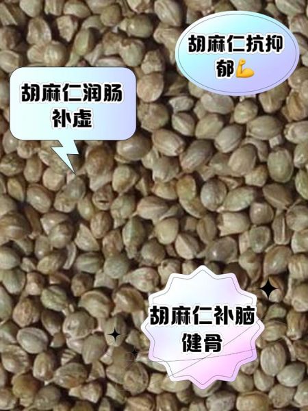 胡麻仁是黑芝麻吗_黑芝麻与胡麻仁区别-第2张图片-山城妙识 胡麻仁是黑芝麻吗_黑芝麻与胡麻仁区别-第2张图片-山城妙识