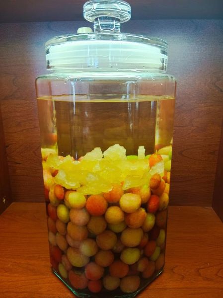 杨梅酒怎么泡_杨梅酒用什么酒泡最好-第2张图片-山城妙识