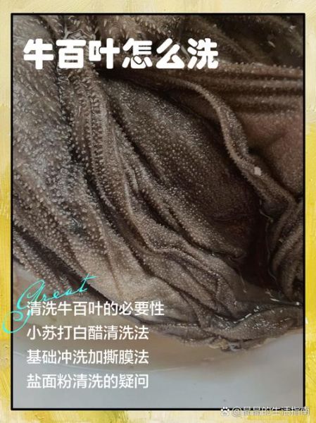 牛百叶怎么洗才干净_牛百叶清洗的正确方法-第1张图片-山城妙识 牛百叶怎么洗才干净_牛百叶清洗的正确方法-第1张图片-山城妙识